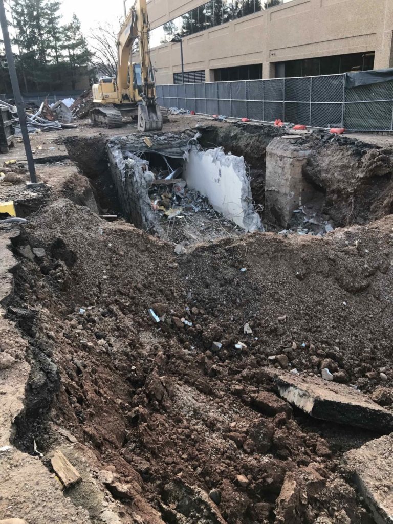 Celgene S8/S9/S10, S1/S2 and S12 Sitework - Crisdel